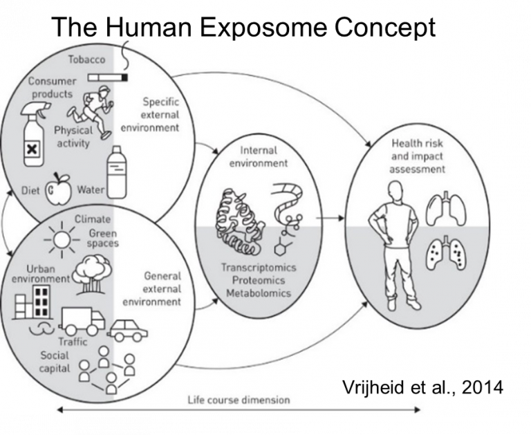 The power of the human exposome