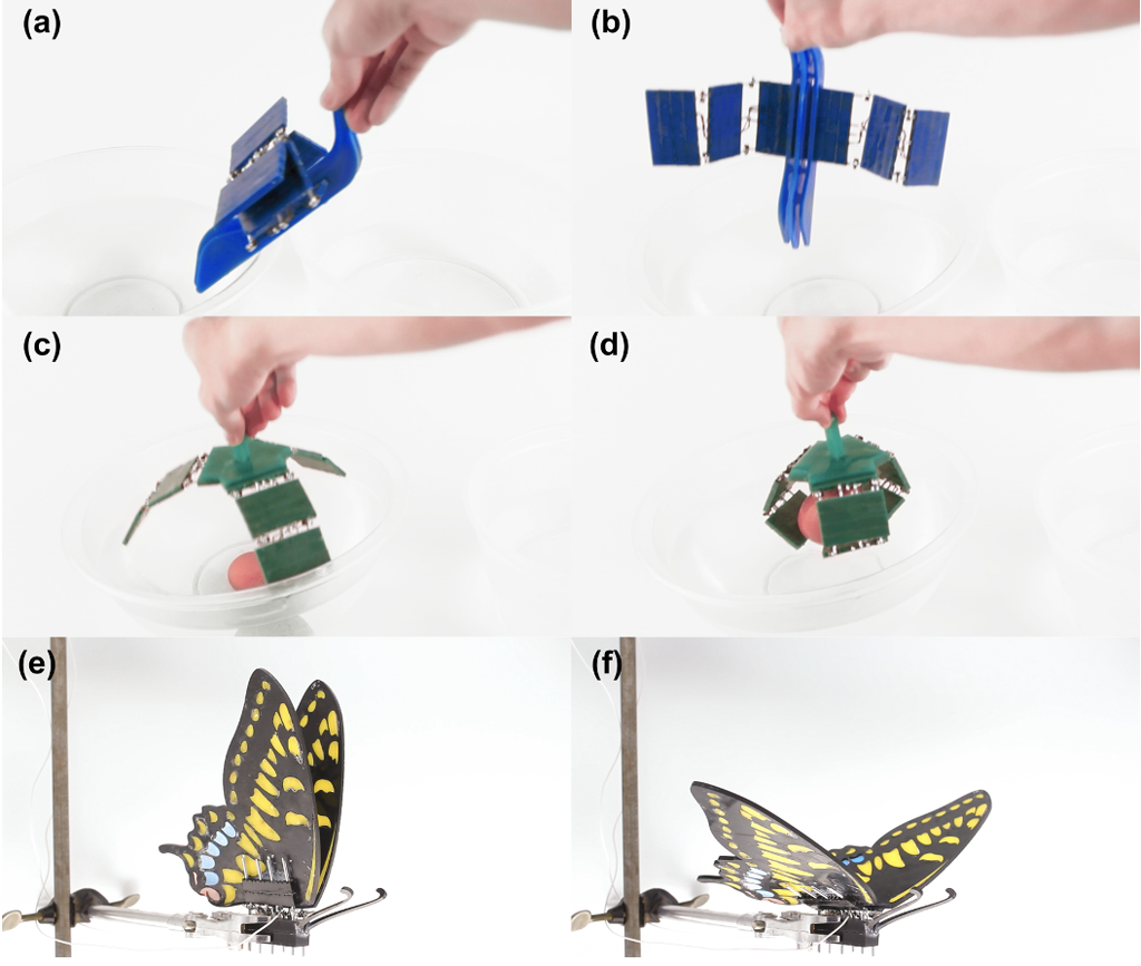 Shape Morphing Material Systems