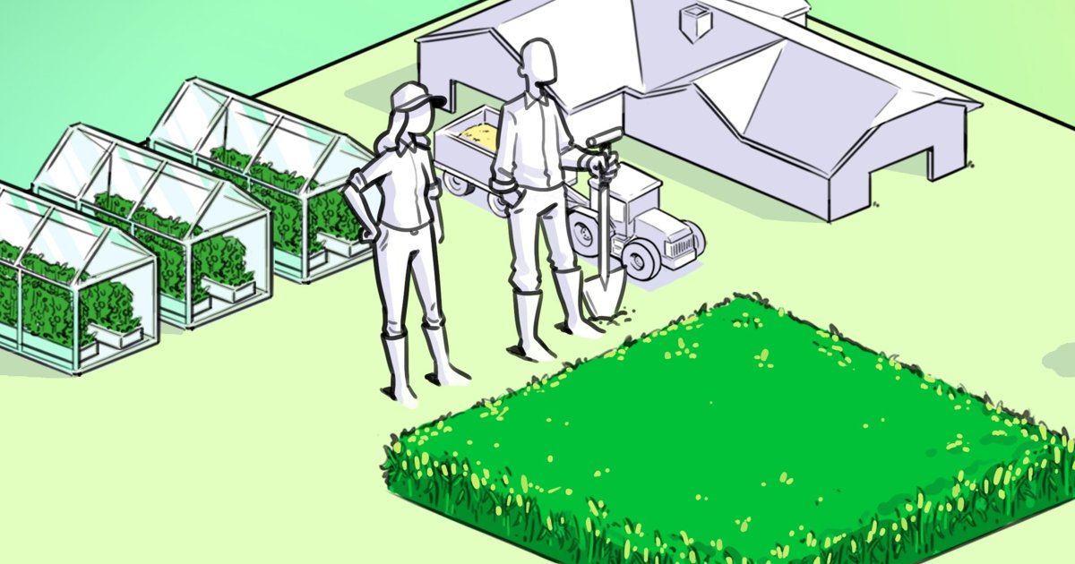 Looking inside the plant with MRI scanners | Plantenna Blog #7