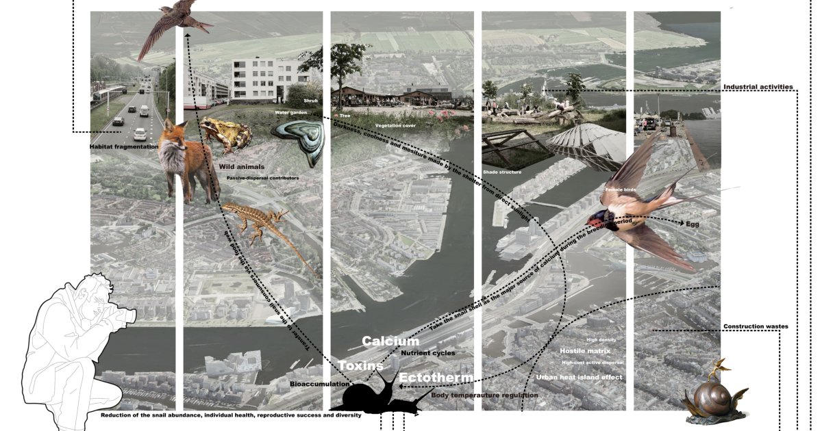 Snail City: Exploring a Poetic Cohabitation