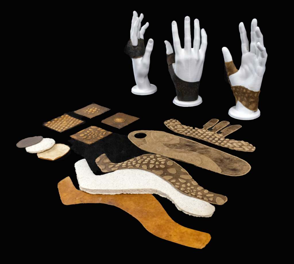 Mycelium Skins: Designing Assistive Wearables with Fungal Materials