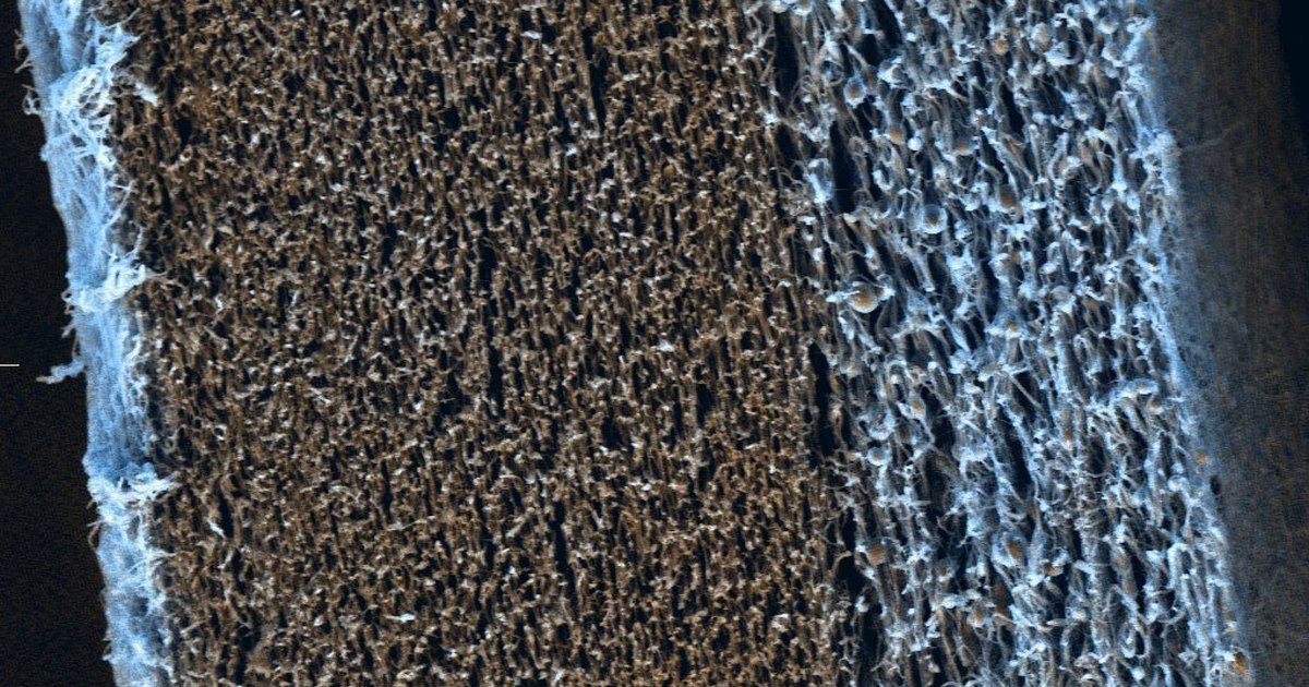 4TU.HTM Dutch Materials 2016