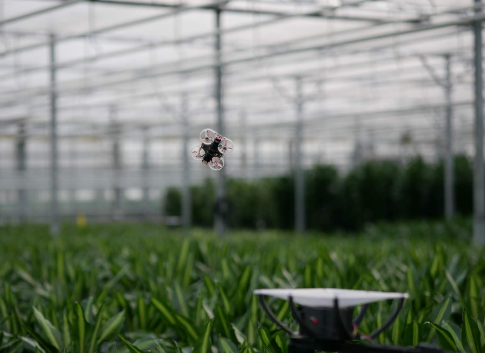#23 Cameras, sensors, and drones: this is how PATS is disrupting pest ...