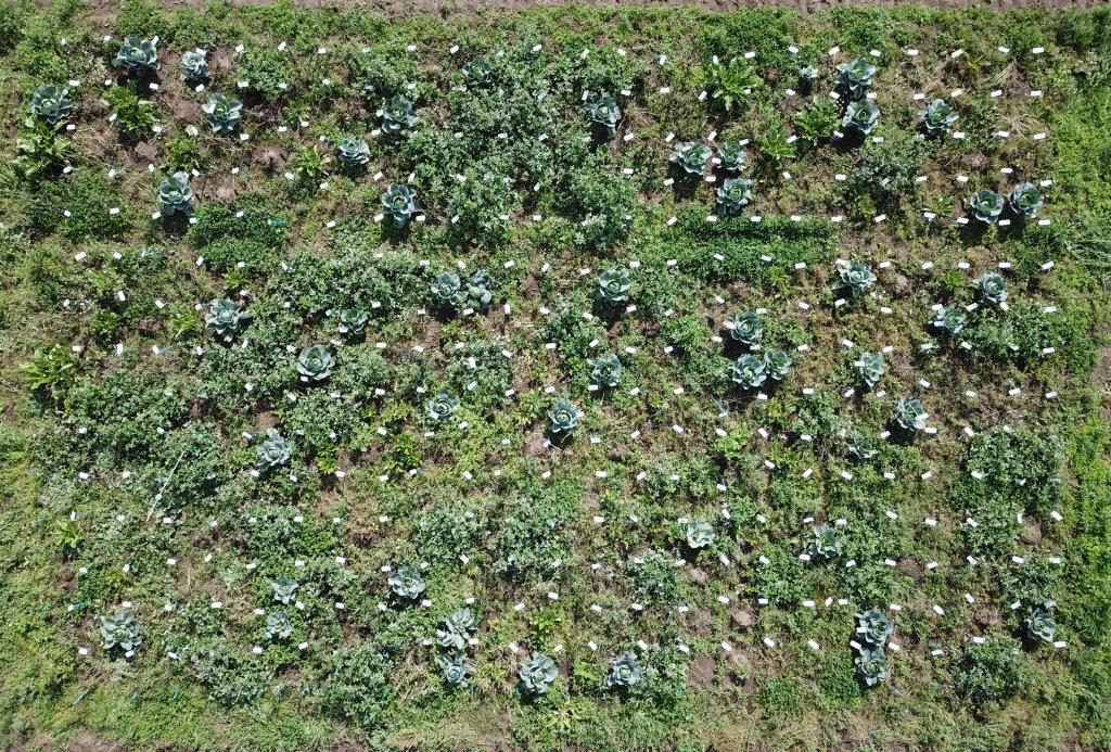 Pixel cropping: high resolution farming