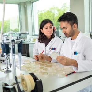 Kick-off collaboration between 4TU.Centres and UG institutes on ...