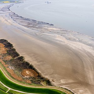 Living dikes will come alive