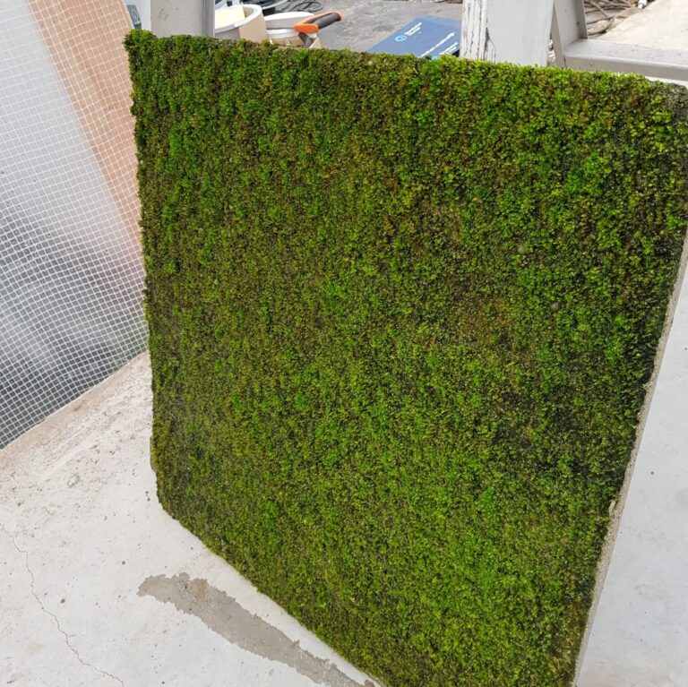 Respyre empowers cities to breathe