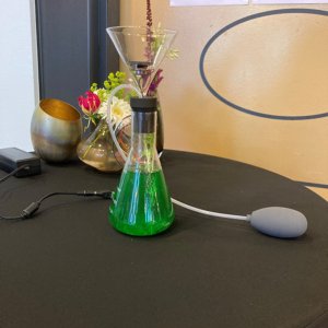 4TU-REDESIGN presents the ‘talking plant’