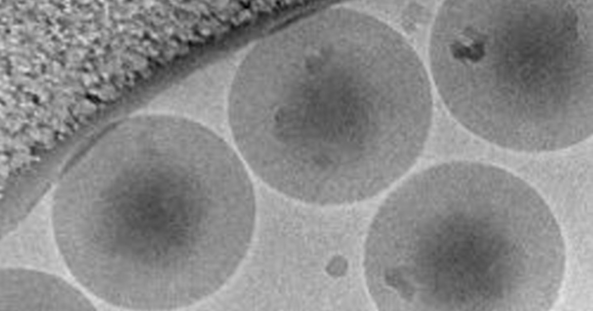 Soft Matter & Self-Assembly