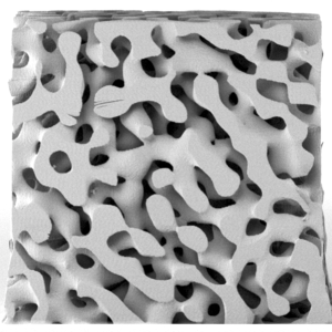 4TU.HTM Workshop Role of Machine Learning in Molecular Discovery & Scientific Understanding