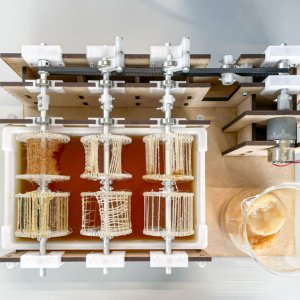 Exploring SCOBY-Based Composite Materials with Textile Scaffolding ...