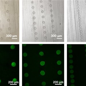 4TU.HTM research programme in Innovative Materials